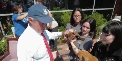 Rescue Me | Delaware names new official State Dog | The Latest from ...