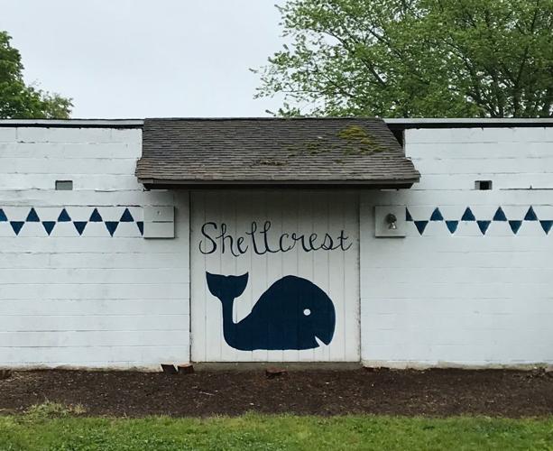 VIDEO | It's not 'everybody in the pool' just yet in Delaware | The ...