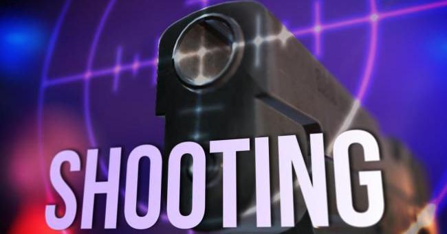 Police investigating Friday night shooting in Dover | The Latest from ...