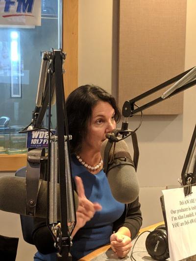 Delaware state auditor introduces ARP Act fund tracker for citizens to ...