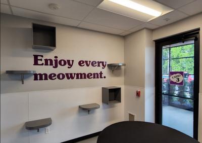 VIDEO | First look at Brandywine Valley SPCA's future | The Latest from ...
