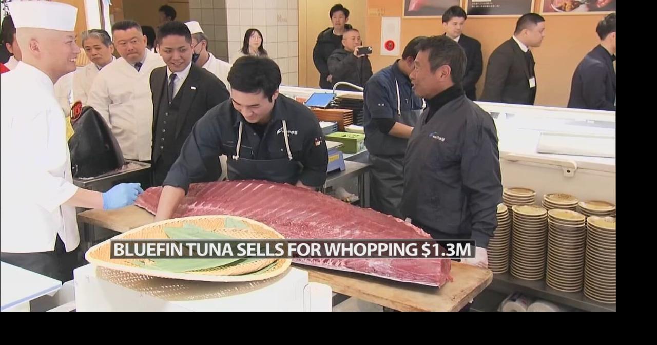 608-pound tuna sells for $1.3 million in Japan | Wdrb-video | wdrb.com