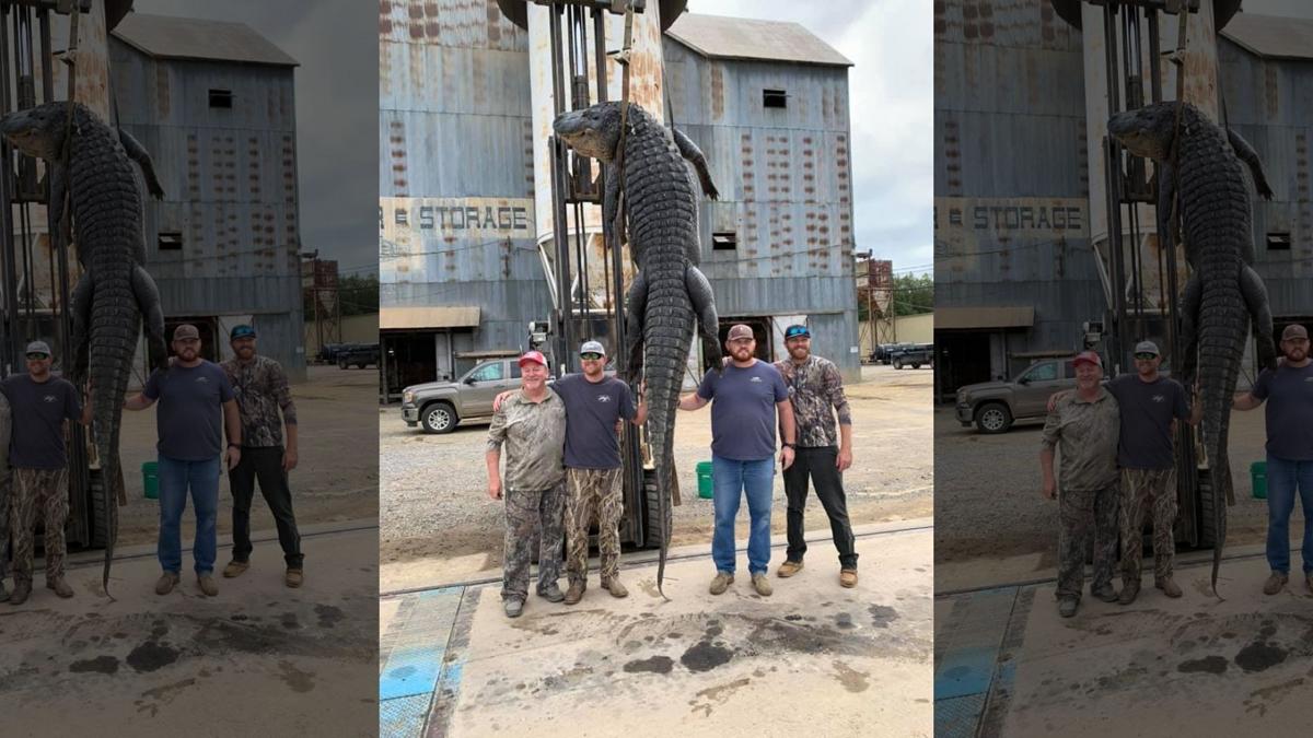 Hunters in Arkansas catch longest alligator in state's history ...