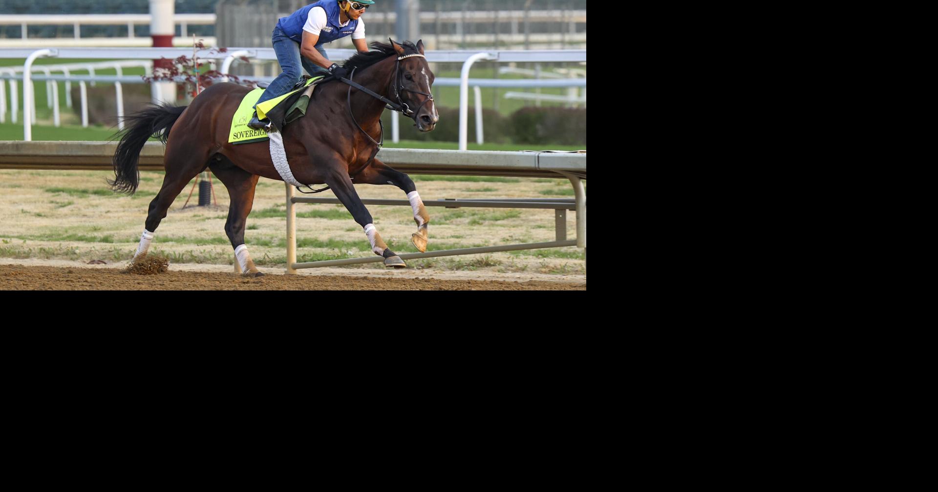 Sovereignty wins Horse of the Year at Eclipse Awards, Bill Mott named ...