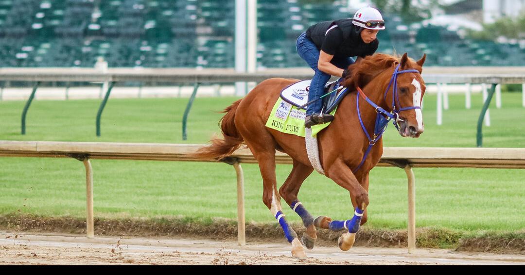 King Fury scratched from Kentucky Derby due to high fever | Derby 147 ...