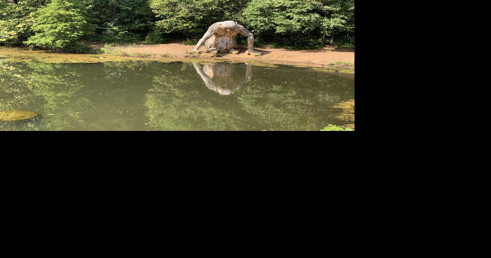 Bernheim Forest giant makes Netflix debut | Local News | wdrb.com