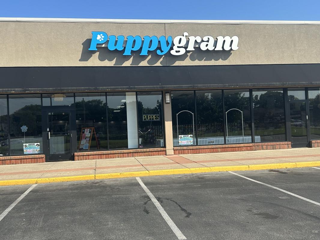 Pet store closure in Louisville tied to crackdown on puppy mill ...