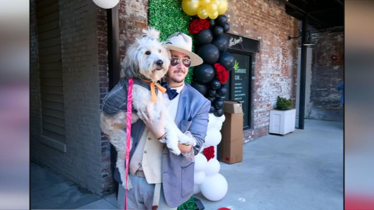 'Rescues on the Runway' returns to help Louisville shelter pets find ...