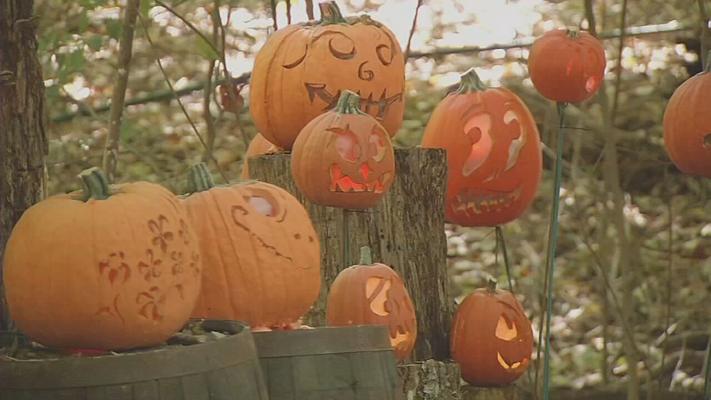 Halloween events finding unique ways to coexist with COVID-19 pandemic ...