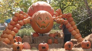 Pumpkins at Kentucky Kingdom starts this weekend, runs through October ...
