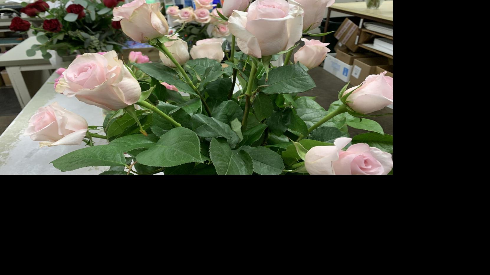 Nanz & Kraft Florists mark 175 years in Louisville with 'Birthday Bash ...