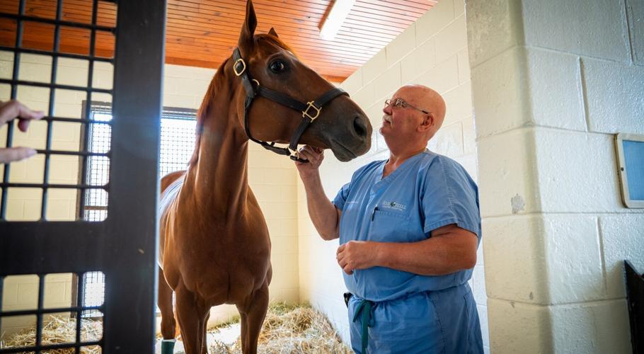 As industry reaches 'breaking point,' esteemed vet says analysis of ...