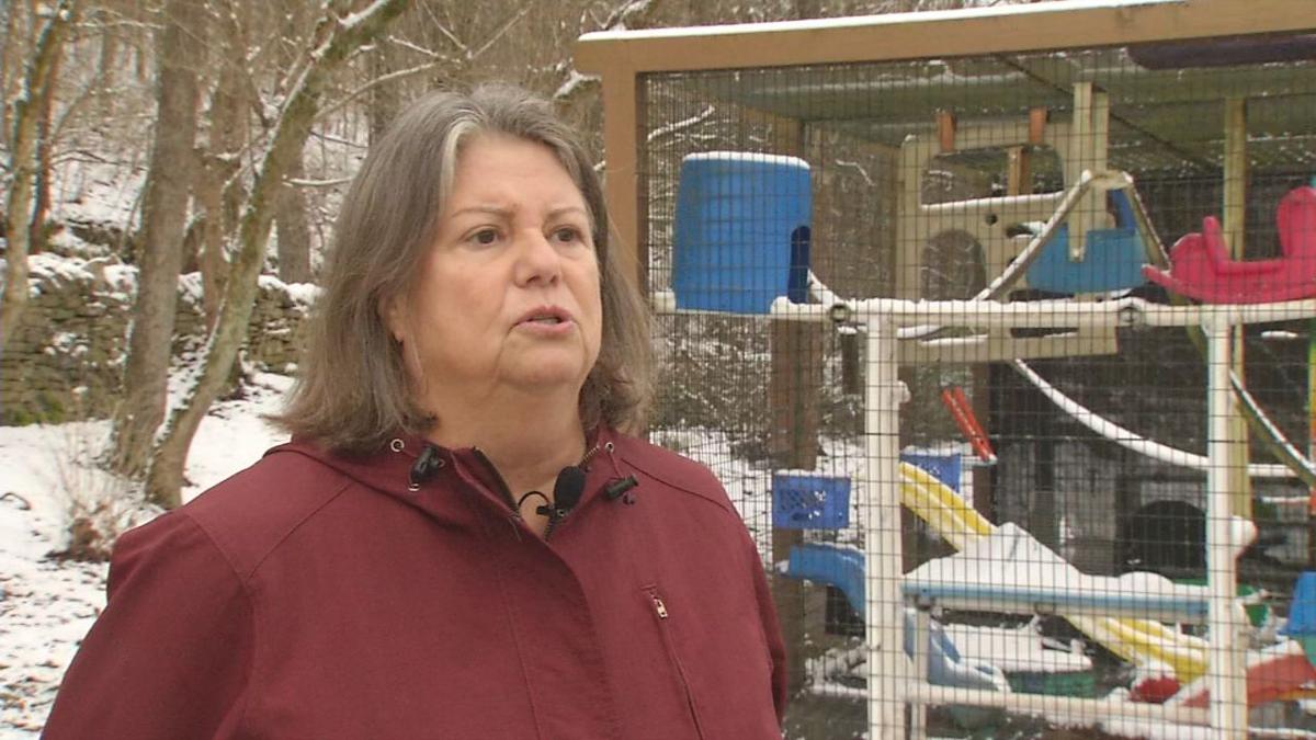 Animal advocate asks for boycott of Indiana zoo where animals die 'all ...