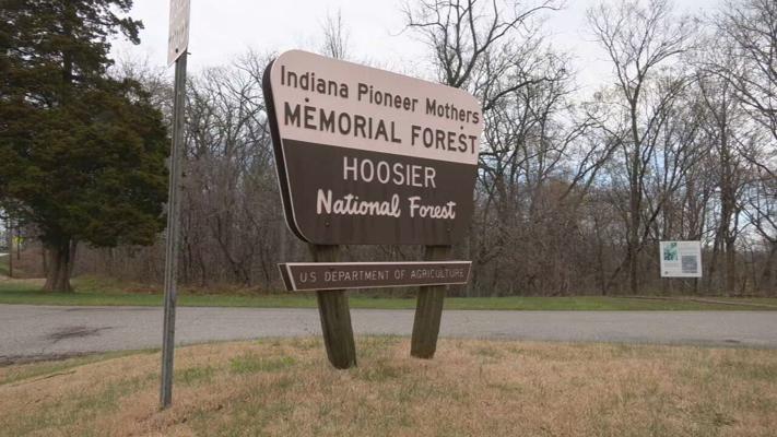 Controversial plan to restore Hoosier National Forest stirs debate ...