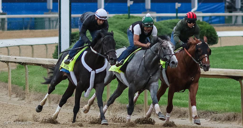 Daily Racing Form's Jay Privman breaks down his Derby 145 picks ...