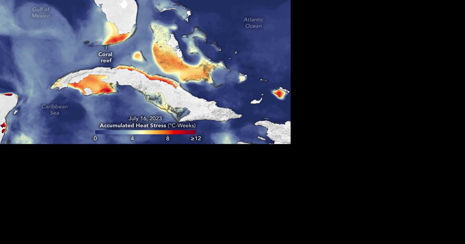 Stressful Summer for Coral Reefs | Weather Blog | wdrb.com