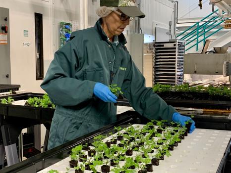 Urban farming startup Square Roots abruptly shutters Shepherdsville, Ky ...