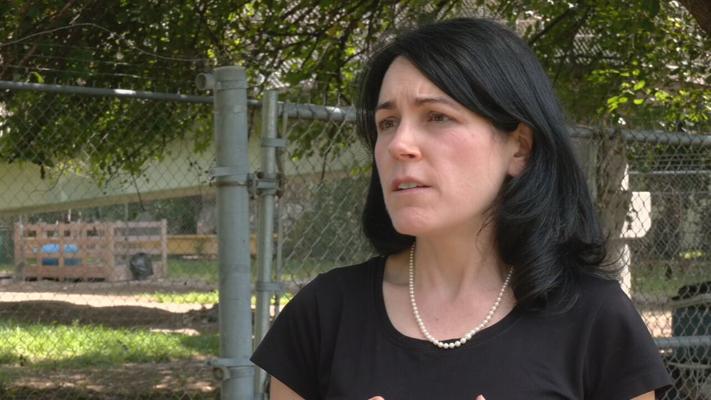Louisville Mayor-elect Greenberg names 4 deputy mayors to incoming ...