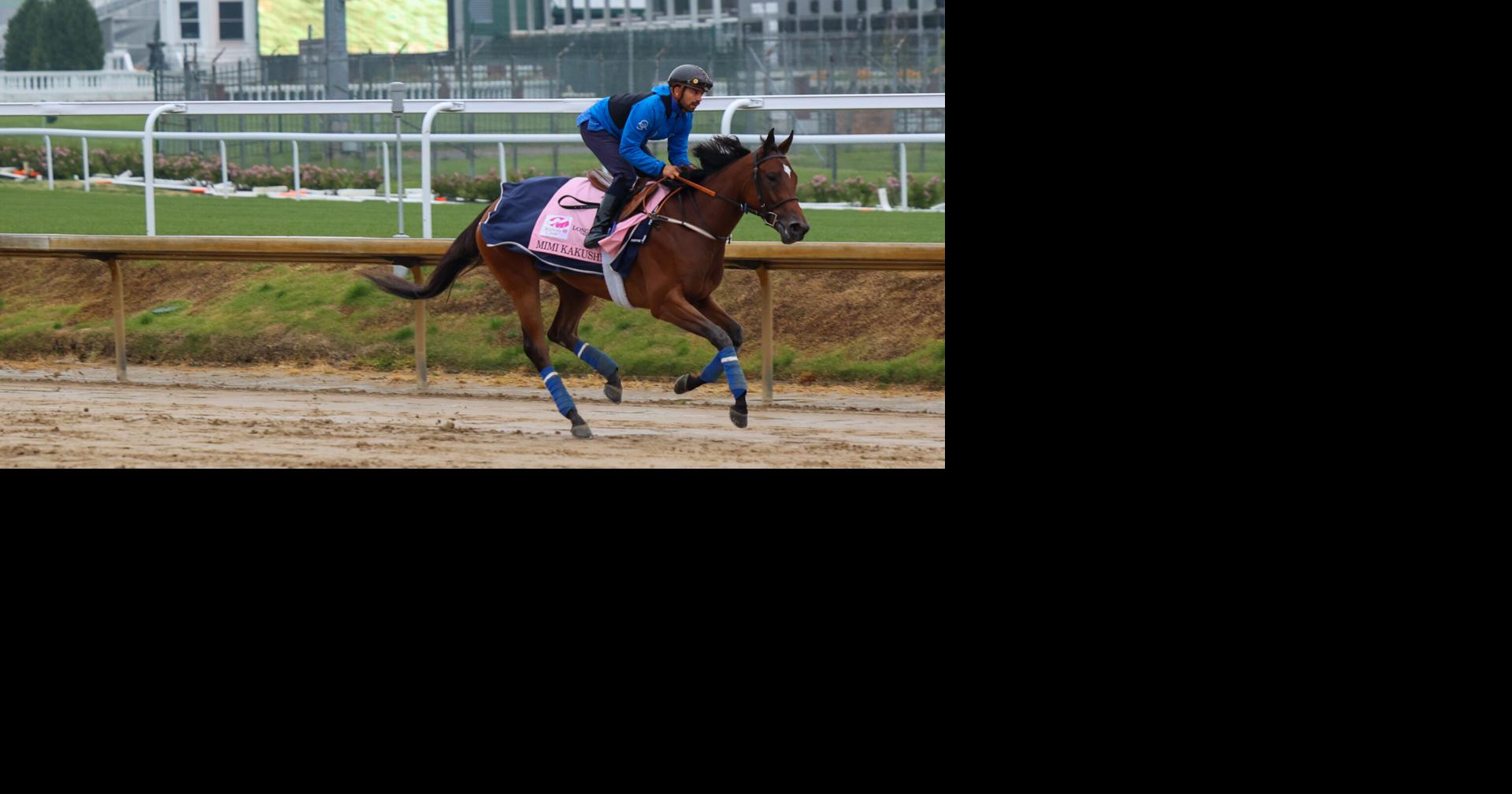 Kentucky Oaks 149 Field | Derby 149 | wdrb.com
