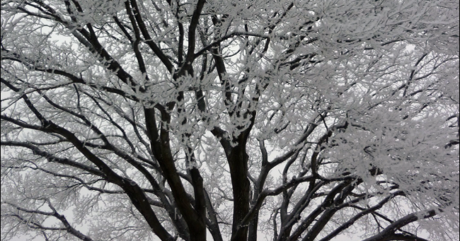 Freezing Fog: Why You Should Use Extra Caution On Bridges, Overpasses ...