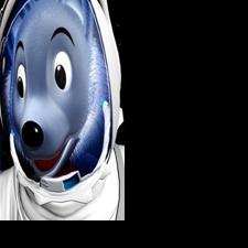 Top 10 Reasons to Send Snow Fox to Space | Local News | wdrb.com