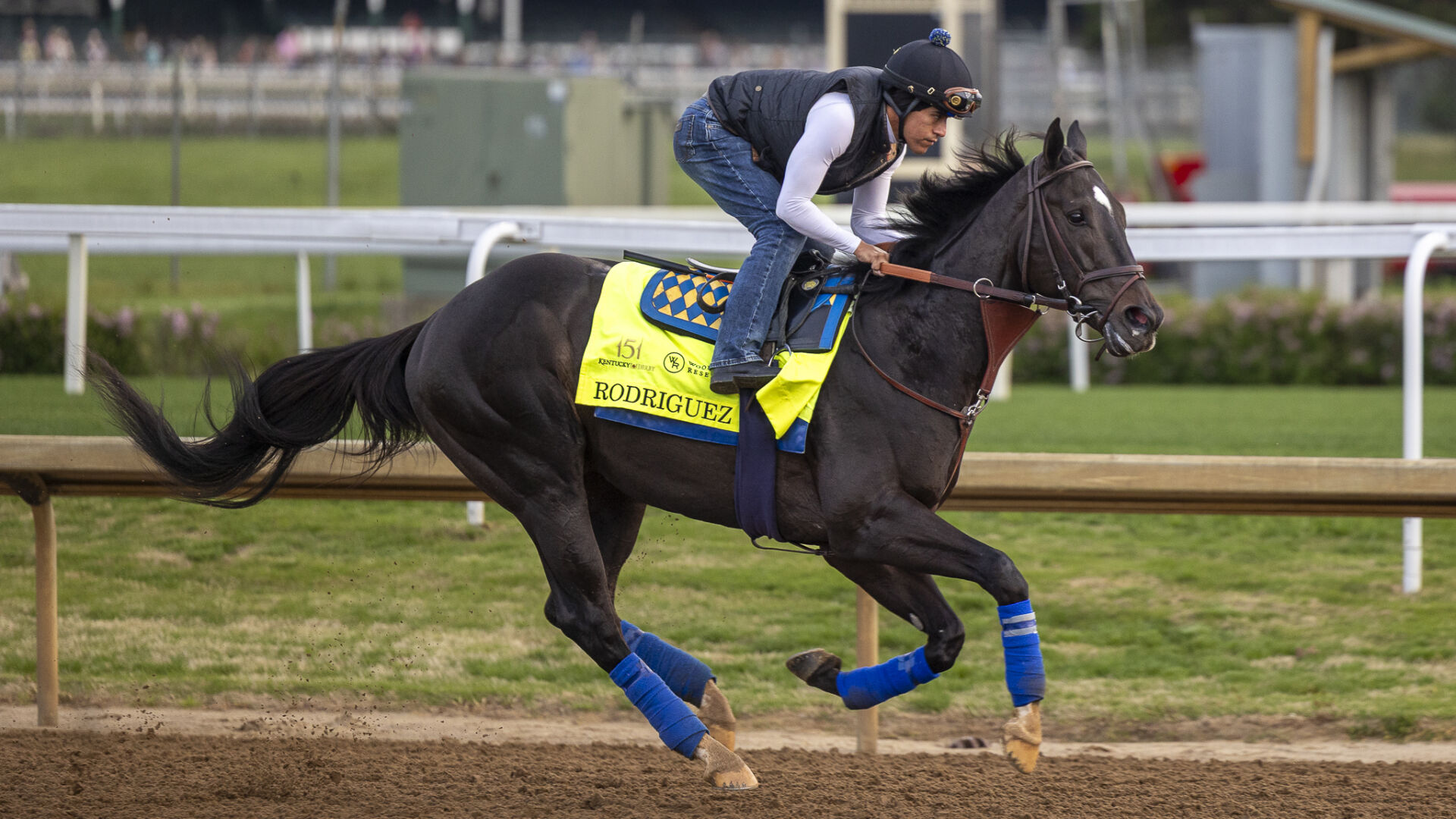 Derby Scratch: Rodriguez, Bob Baffert's top Kentucky Derby contender ...
