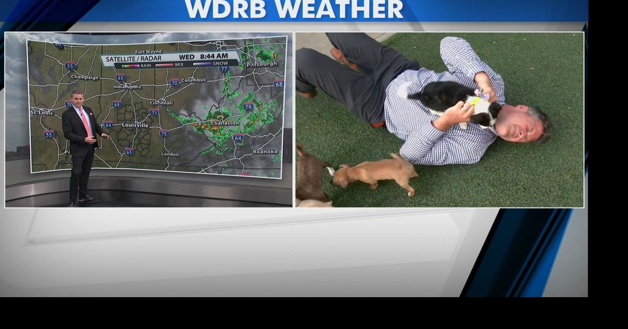 sutter clip 3 | | wdrb.com