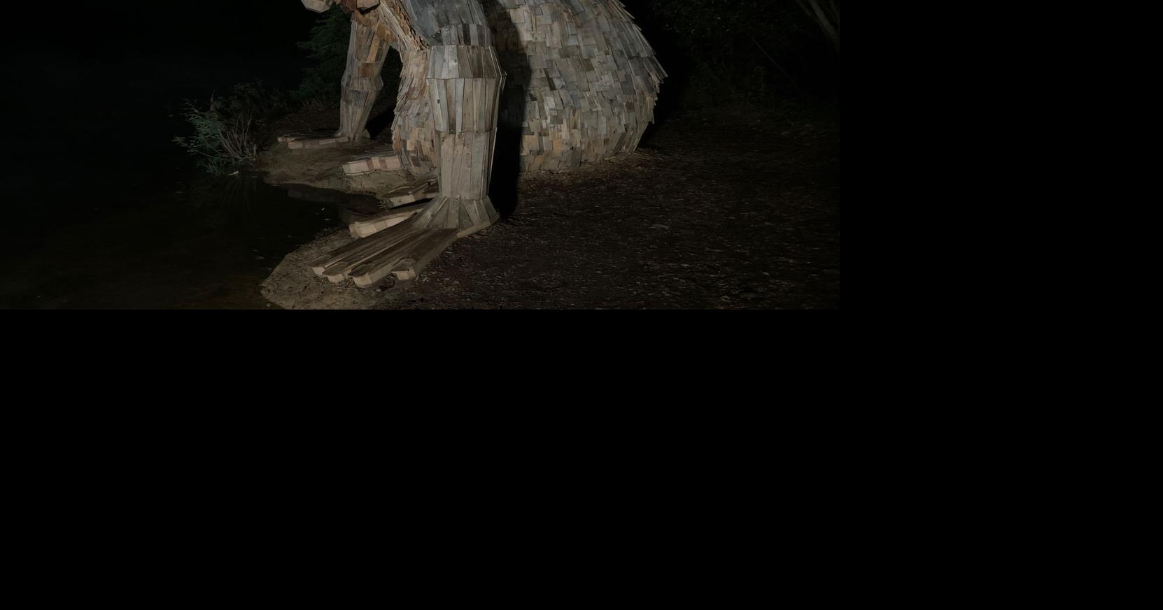 ColorFest at Bernheim Forest features fun of the fall season | Morning ...