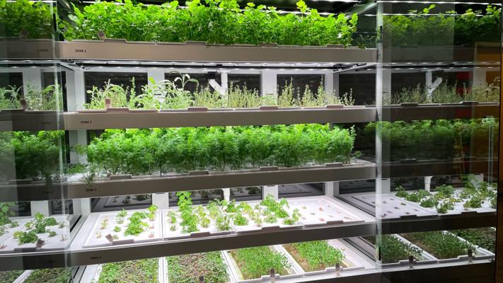 UofL Dining expands its menu using a new tool bringing fresh food to ...