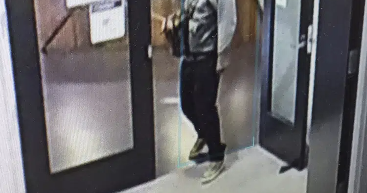 Alabama shooting suspect | | wdrb.com