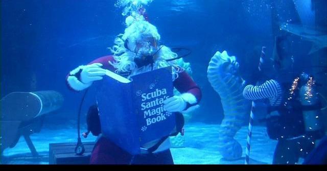 Scuba Santa an underwater hit at Newport Aquarium | Morning | wdrb.com