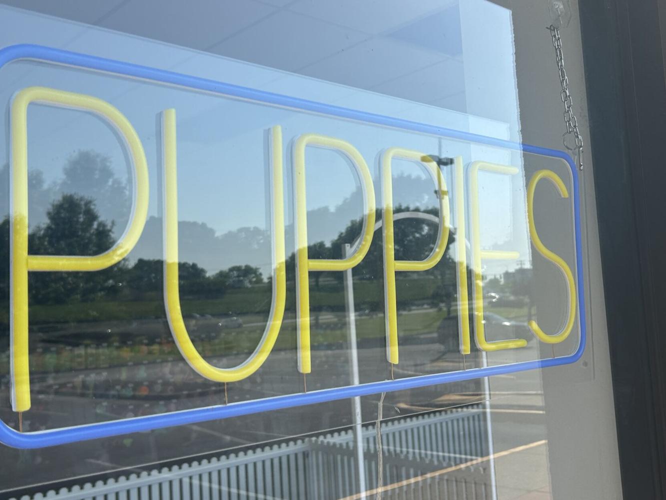Pet store closure in Louisville tied to crackdown on puppy mill ...