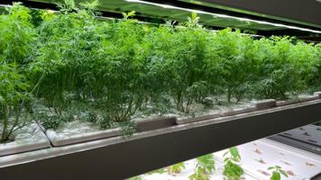 UofL Dining expands its menu using a new tool bringing fresh food to ...