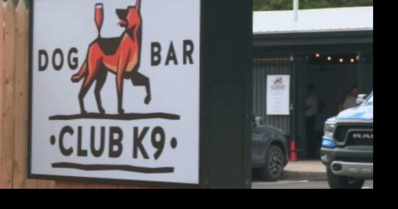 Club K9 Dog Park & Bar hosting annual 'Doggie Derby' on Saturday ...