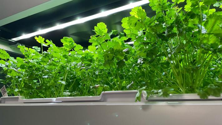 UofL Dining expands its menu using a new tool bringing fresh food to ...