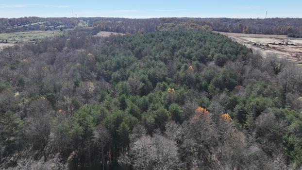 New 75-acre nature preserve opens in southern Indiana, features miles ...