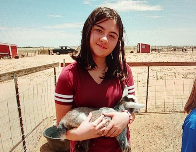 Police searching for missing 15-year-old from Colorado who could be in ...