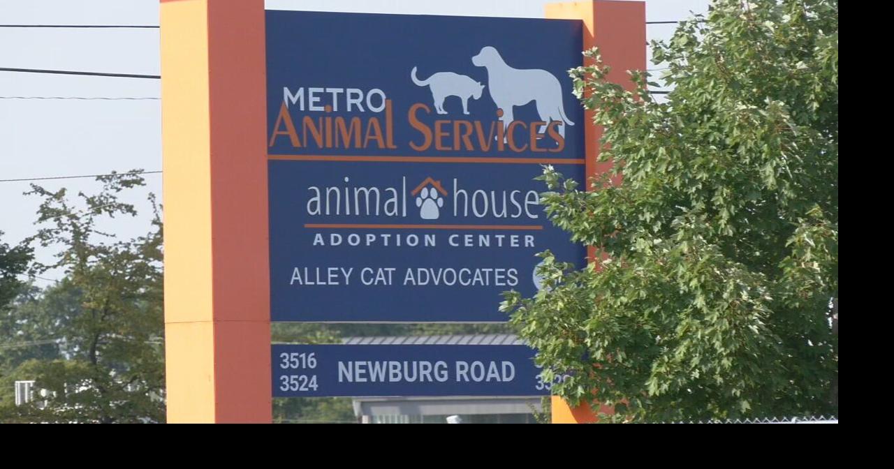Facing chronic overcrowding, Louisville Metro Animal Services begins ...