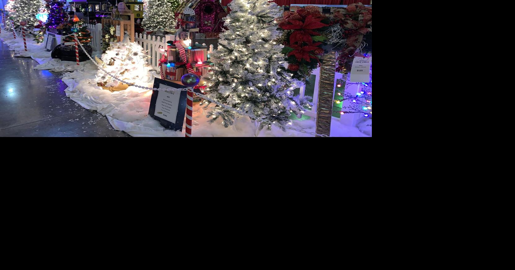 IMAGES | 2022 Festival of Trees & Lights rings in the holiday season at ...