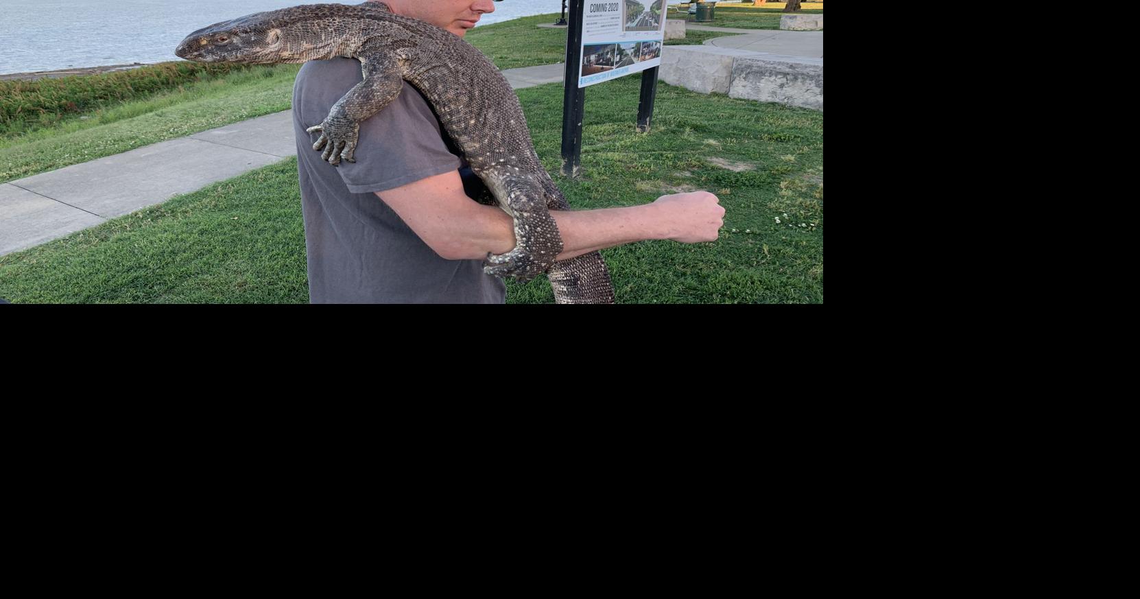 Indiana Reptile Breeders Expo returns to Clarksville | Local News ...