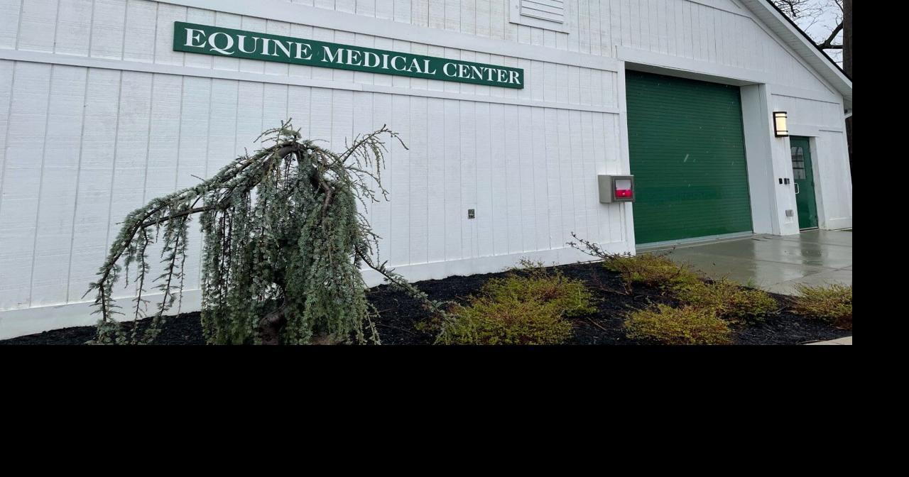 Churchill Downs uses quarantine barns, daily health checks to prevent ...