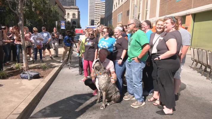 Ethan the dog honored with 'Kentucky Humane Hero' banner in downtown ...