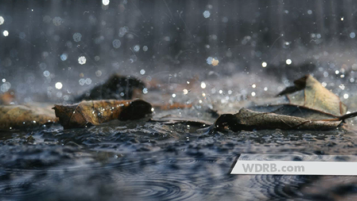 ANATOMY OF A RAINDROP: Many People Think That Raindrops Are Teardrop ...