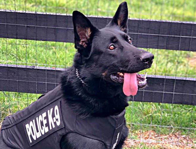 LMPD K9 now has body armor protection thanks to generous donation ...