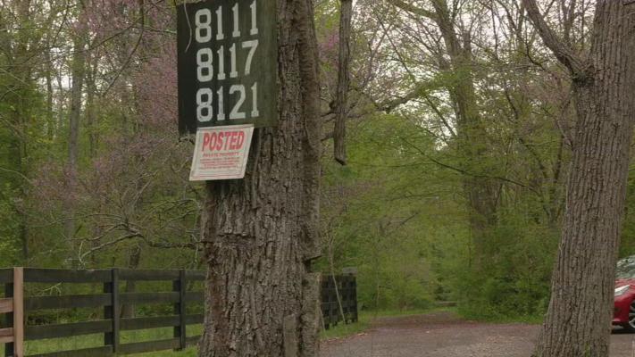 Wildflower walk held at farm in northeast Jefferson County | Local News ...