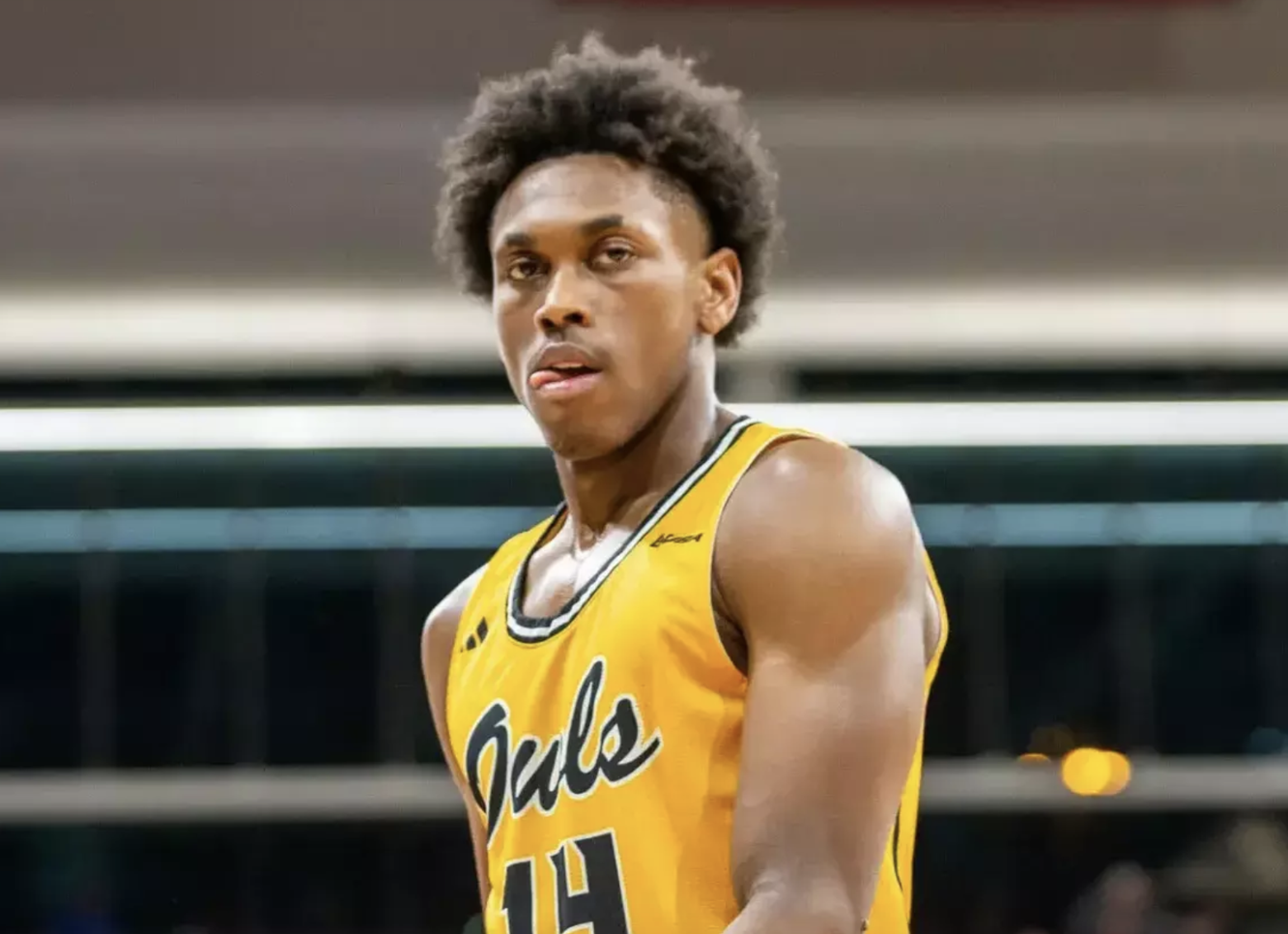 BOZICH | What is Louisville basketball getting in Adrian Wooley ...