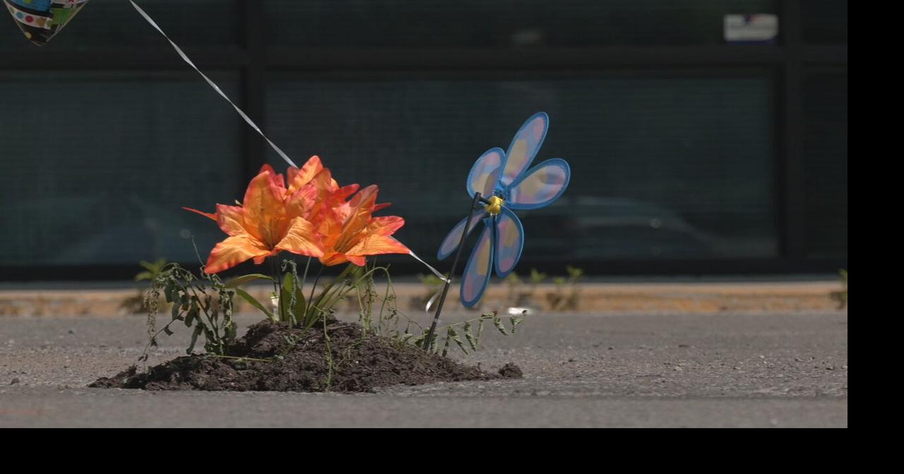 Fake flowers in a Dixie Highway pothole bring unexpected dose of ...