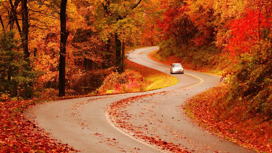 Kentucky road makes the list for best scenic fall foliage drive | Local ...