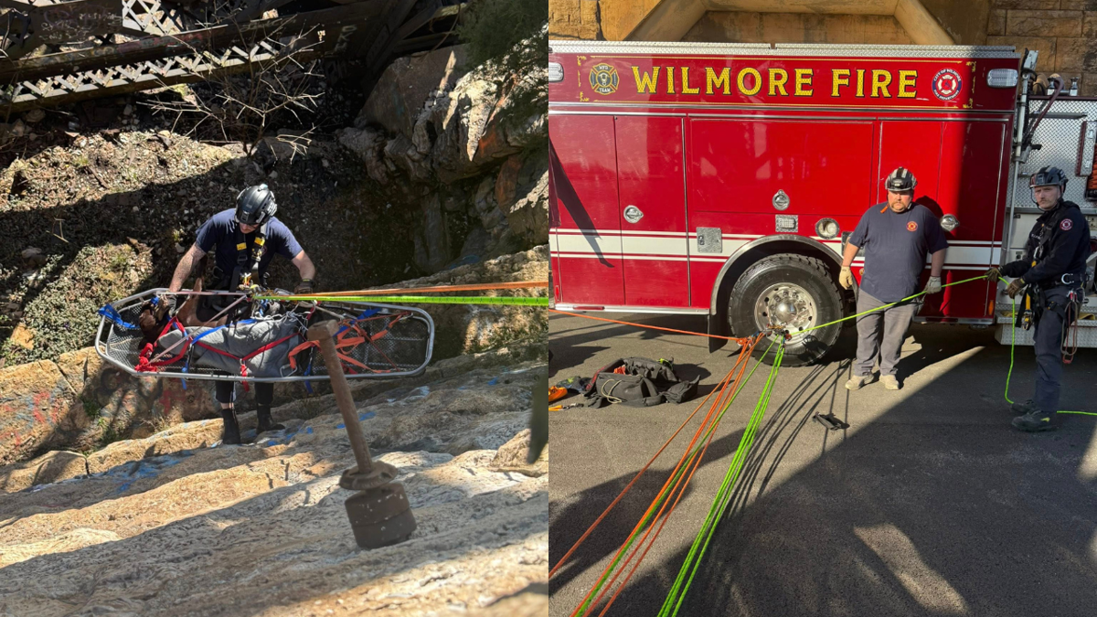 Kentucky firefighters rescue dog injured in 40-foot fall | Local News ...