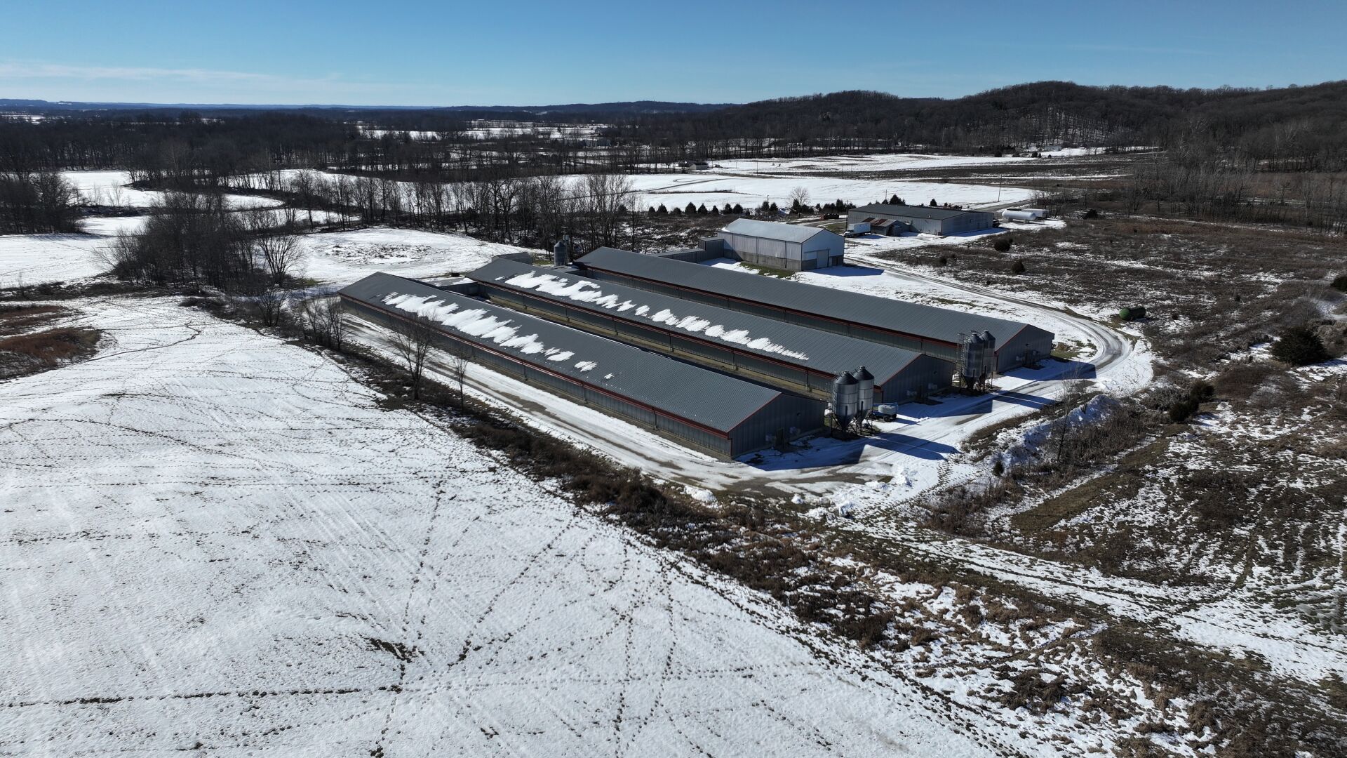 2.8 million chickens threatened in southern Indiana amid bird flu ...